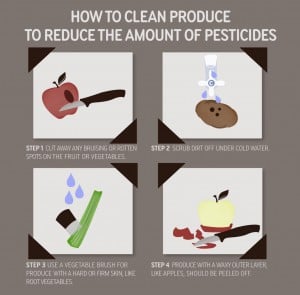 A Guide to The 2014 Dirty Dozen & Clean 15 Produce List
