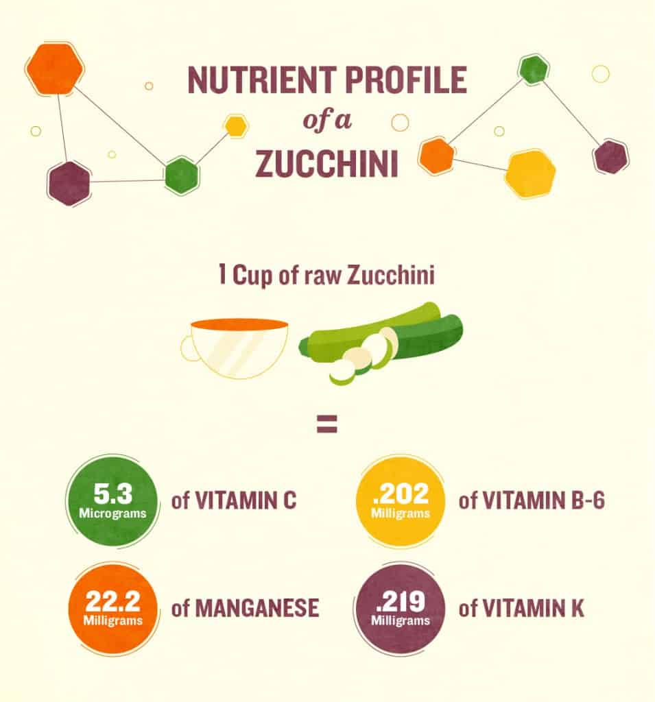 Zucchini Recipe Round Up