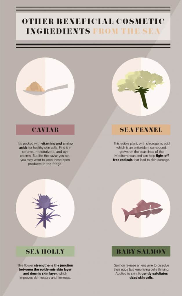 Sea Secret - Health Perch