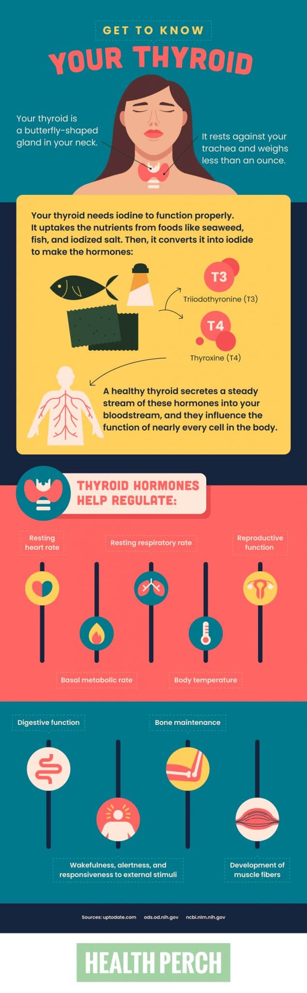 The Top Signs Your Thyroid is Overactive or Underactive - Health Perch
